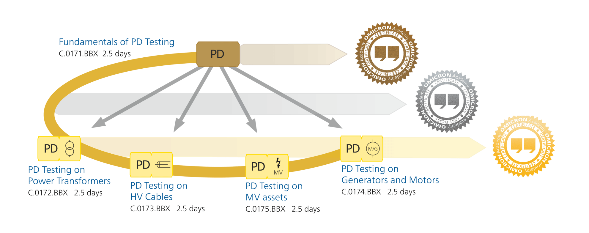 PD Modular Training - OMICRON